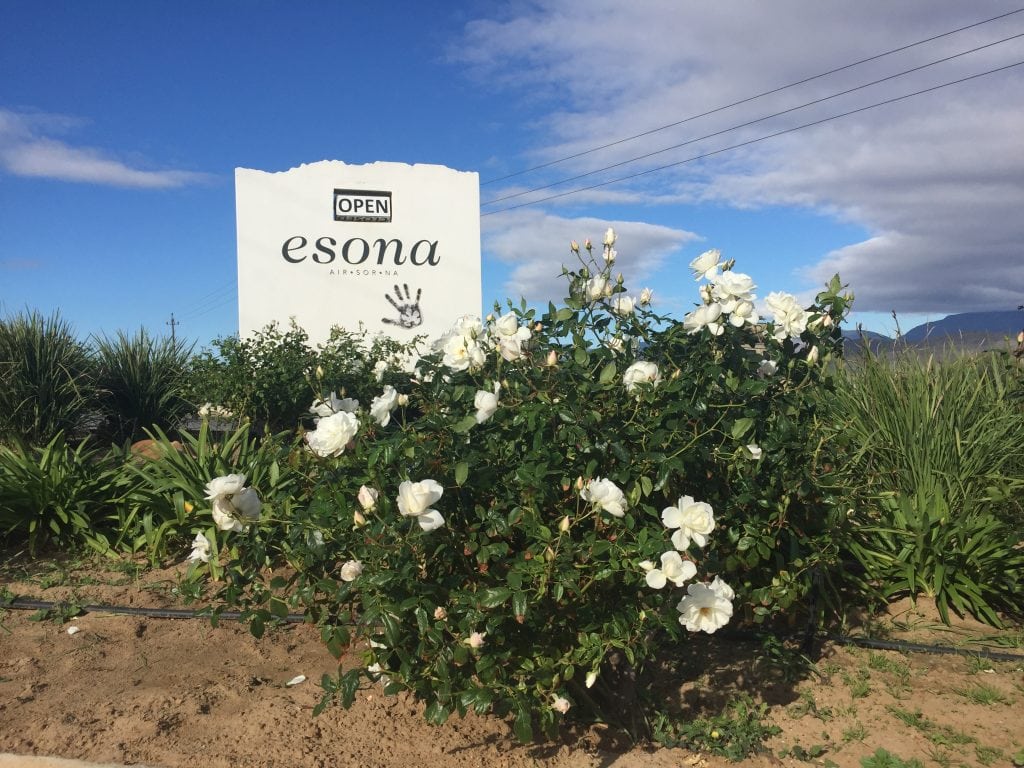 Joy at Really Tasting the Difference at Esona – Cape Wine Lovers' Society