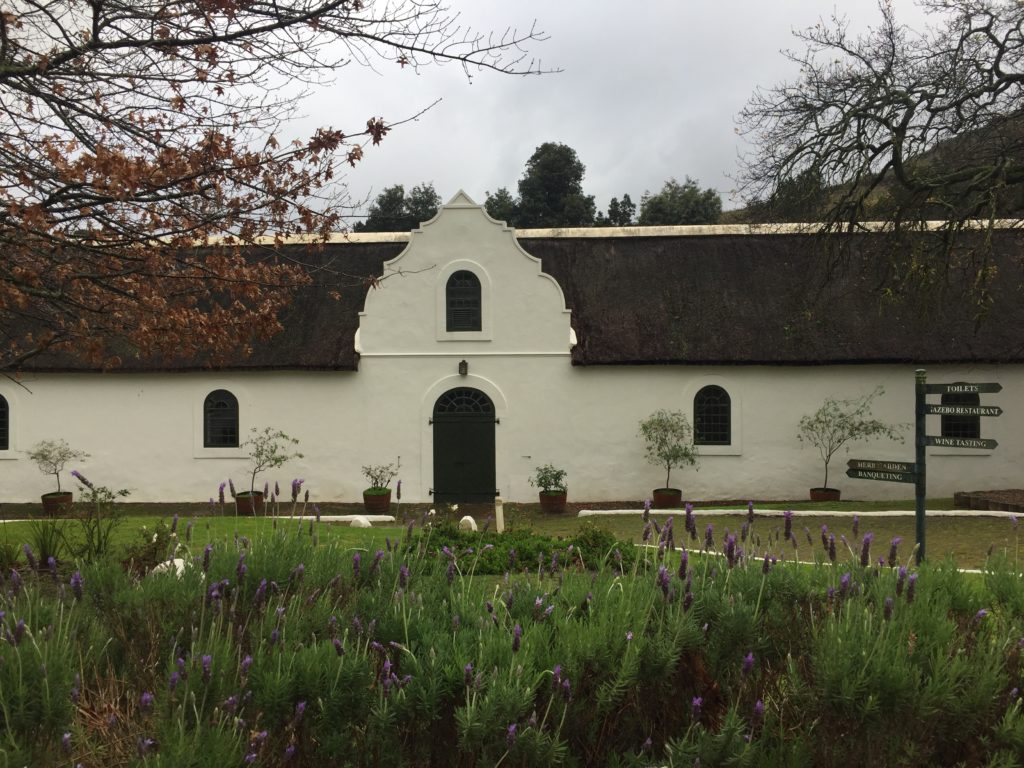 Morgenhof in the Morning – Cape Wine Lovers' Society